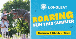 The Festival Of Light